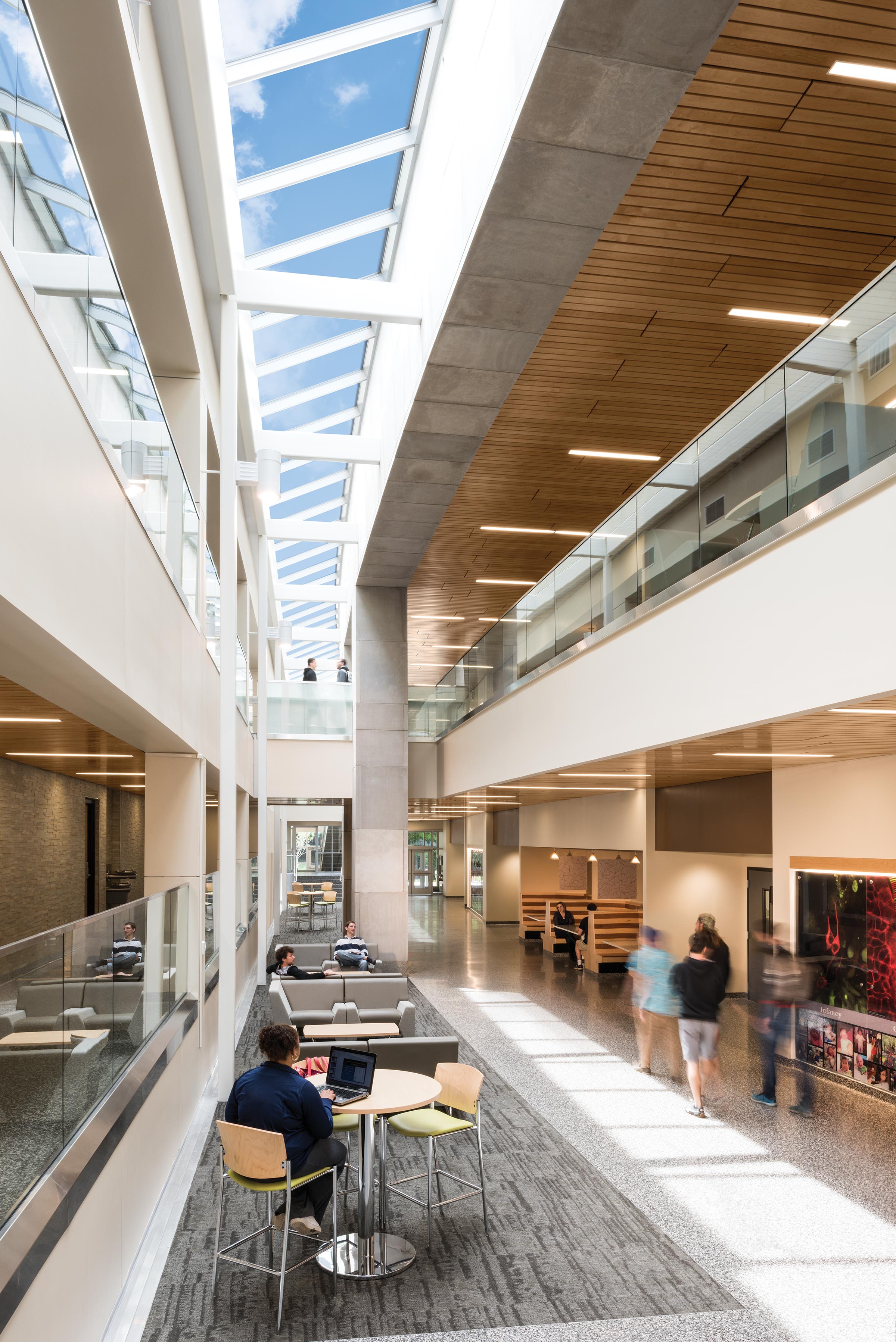 Bailey Hall Renovation - SWBR