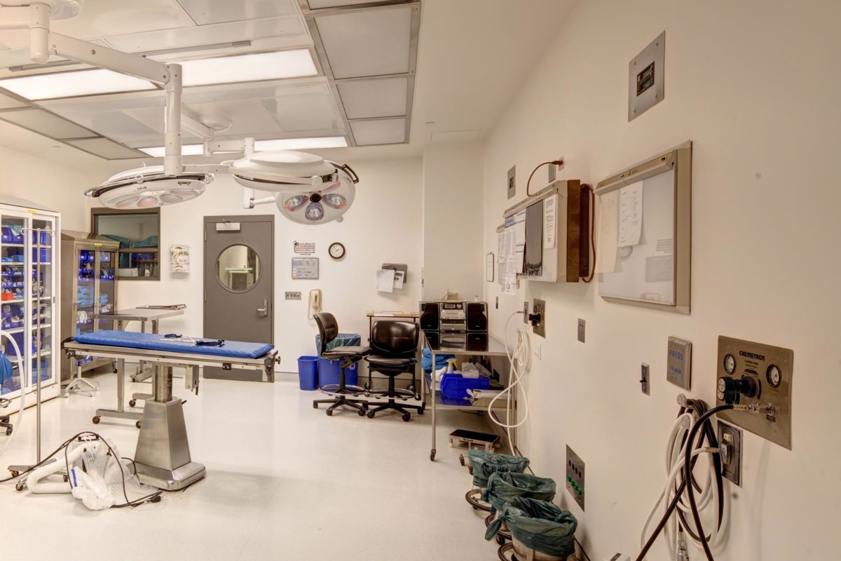 Cornell University College of Veterinary Medicine Surgical Skills Lab ...